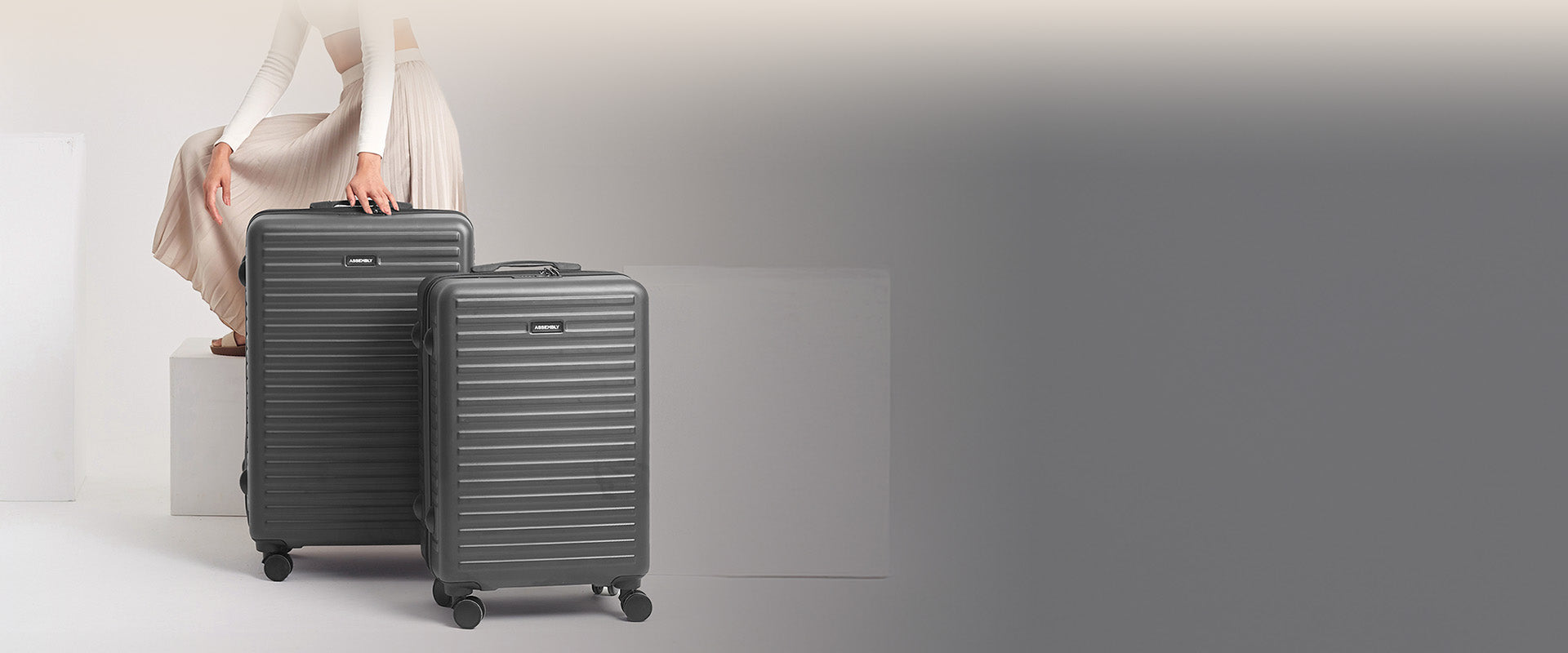 Buy Trolley Bags Set of 2 and Luggage Sets Online | Assembly