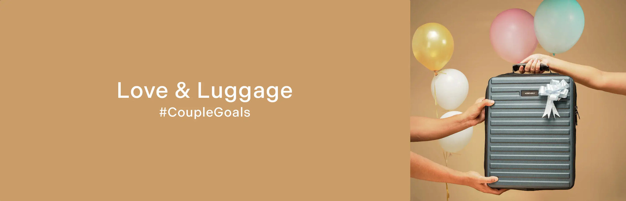 Buy Travel and Trolley Bags for Anniversary Gift | Assembly